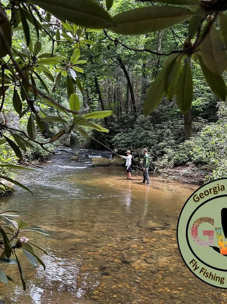 Georgia Trout Fishing Reports and Techniques