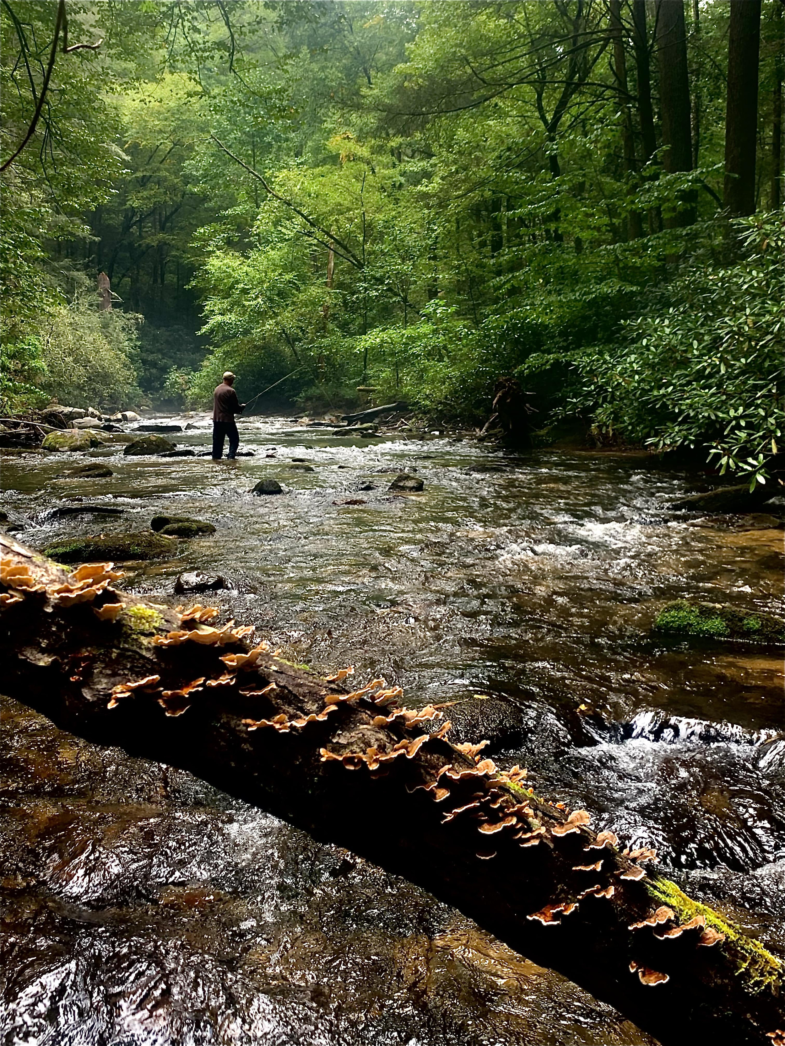 Toccoa River Fly Fishing | The Anglers Destination