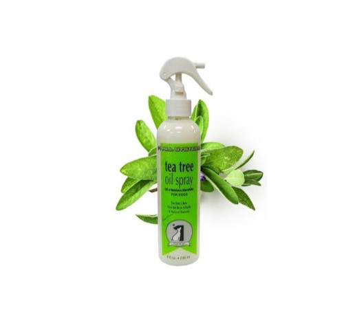 #1 All Systems Tea Tree Spray | MJM Company
