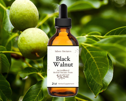 Black Walnut Tincture | The Second Paradigm
