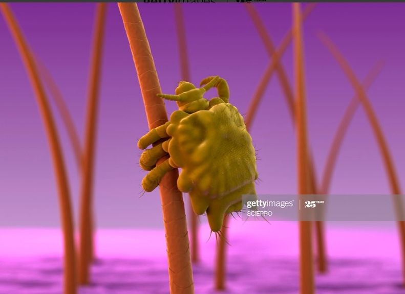 dudas más comunes | Condoneate