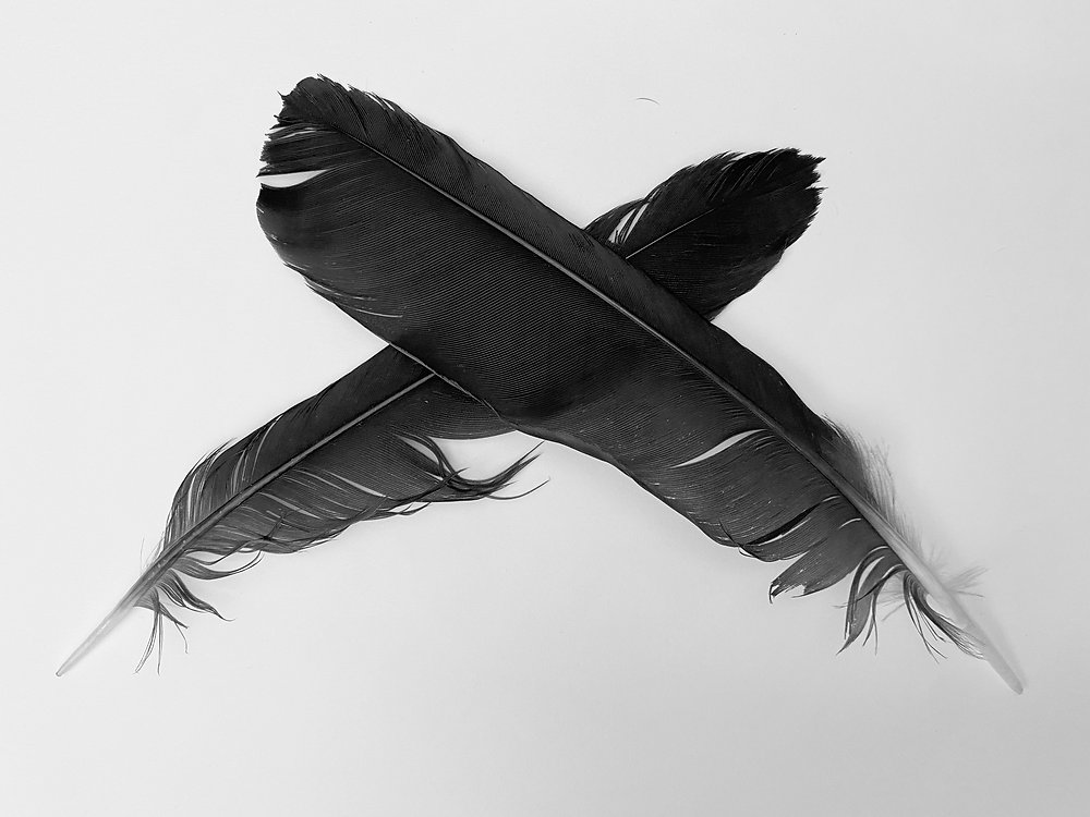 The Crow-crossed Crone