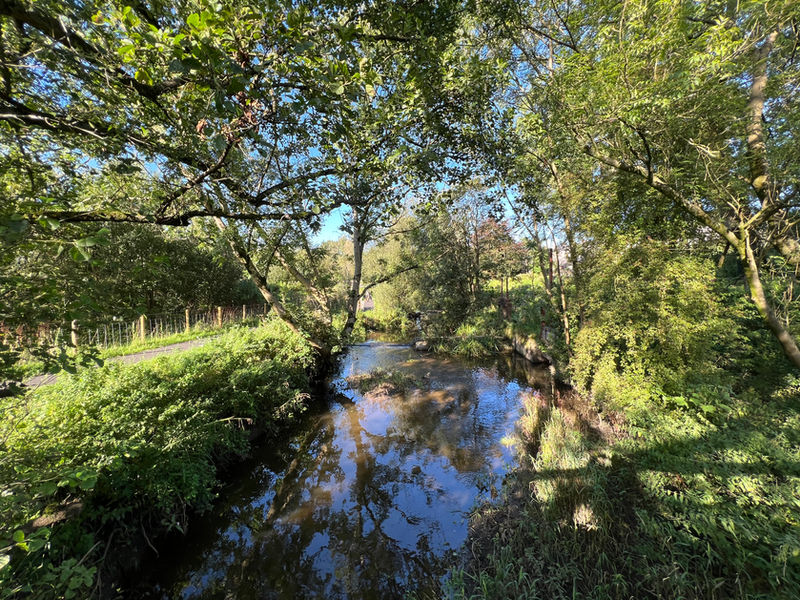 Nature Trail Walk | Primrose Community Nature Trust