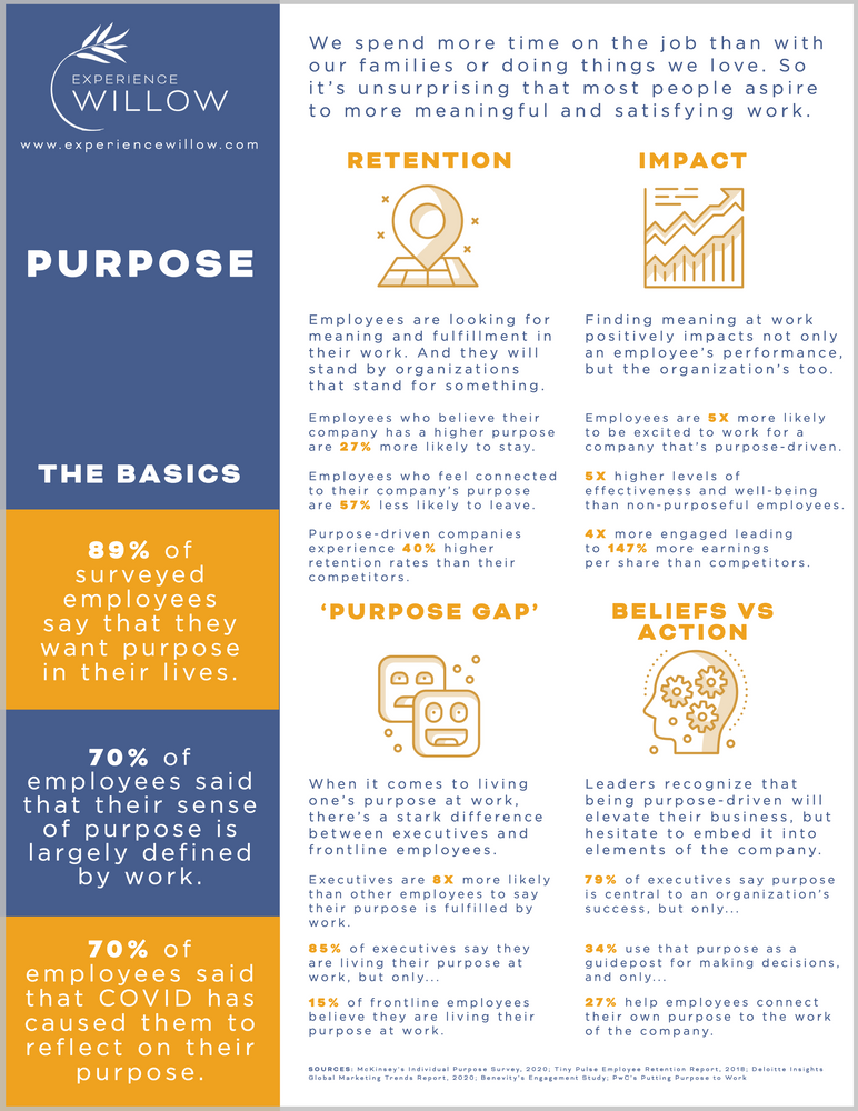 INFOGRAPHIC: Purpose