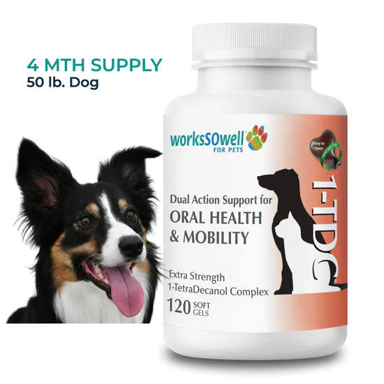 1-TDC® Oral & Mobility Support for Dogs | PMCC Services LLC