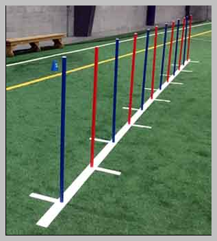 24" Competition Weaves: 12 Colored Poles | M.A.D. Agility
