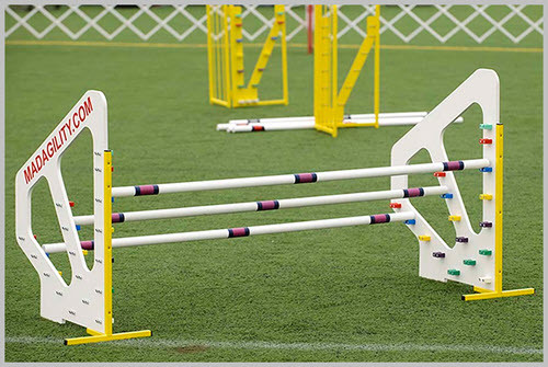 Triple Jump | M.A.D. Agility