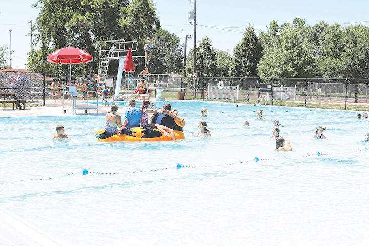 Oriole bird lands at Lennox swimming pool