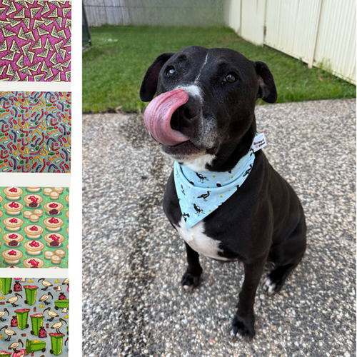 ScrapsiPaws Scrunchies – Paws Down Under Collection | Scrapsidaisy