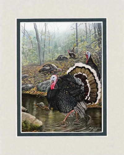 The Turkey | Wade Jenkins Art