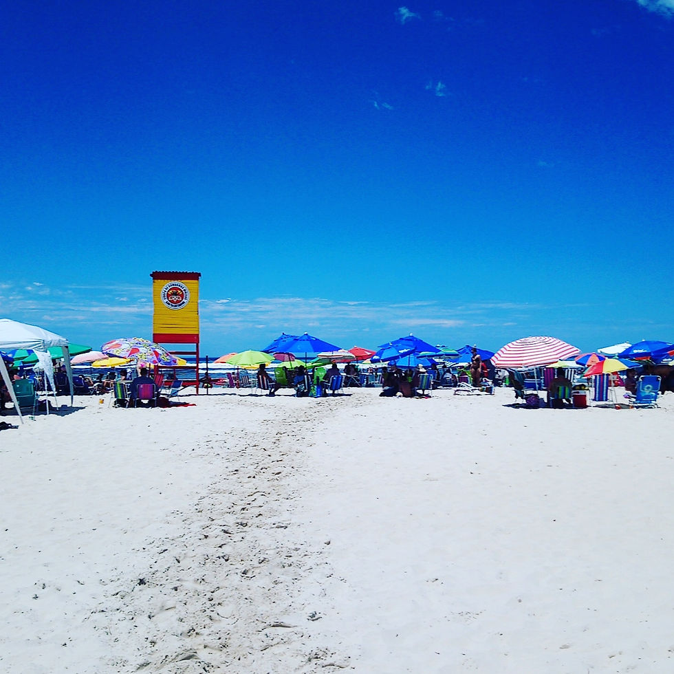 ATRATIVOS LOCAIS Explore a Guarda do Embau