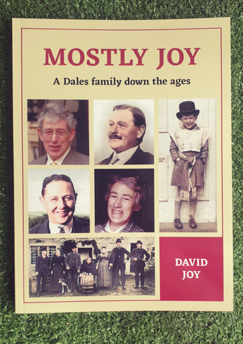 Mostly Joy by David Joy | The Stripey Badger