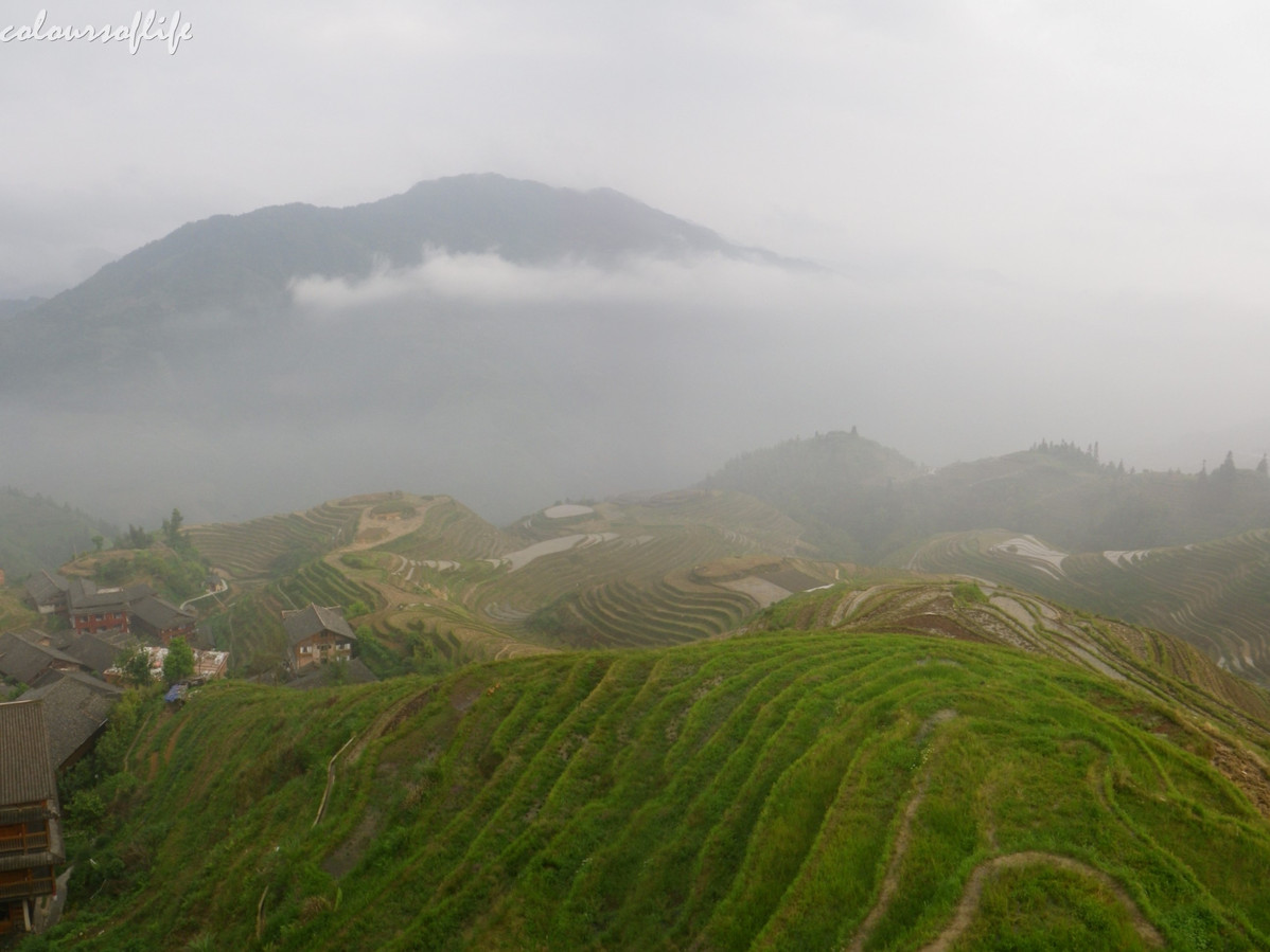 HOME | Longji Terrace - Vei