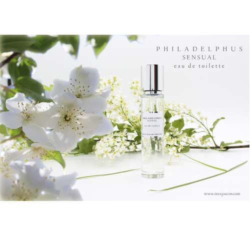 PHILADELPHUS Sensual Edt (Pihajasmike) | maxjoacimcosmetics