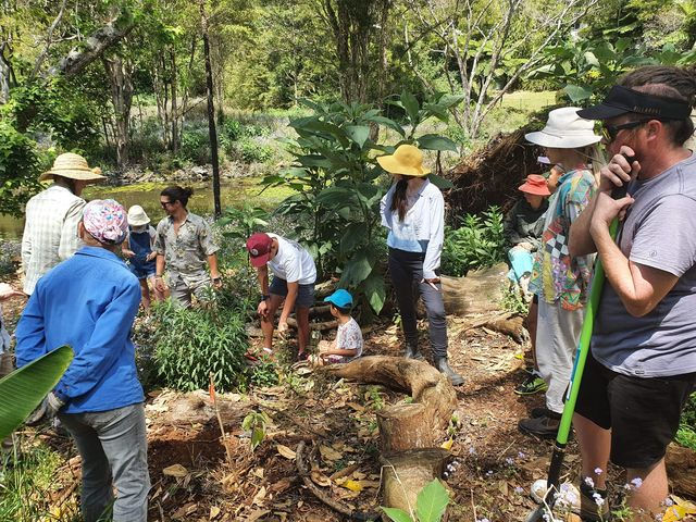 Collective Ownership of Property