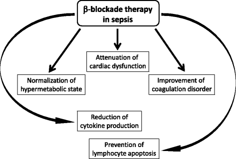 Beta Blockers in Sepsis