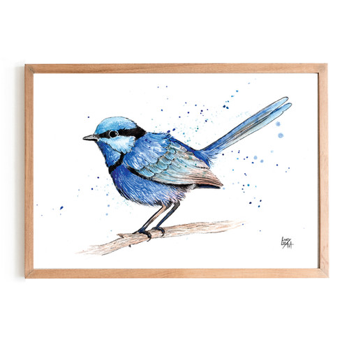 Splendid Fairy-Wren Print | Lucy Lu Art