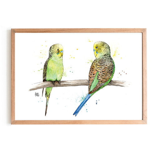 Budgies Print | Lucy Lu Art