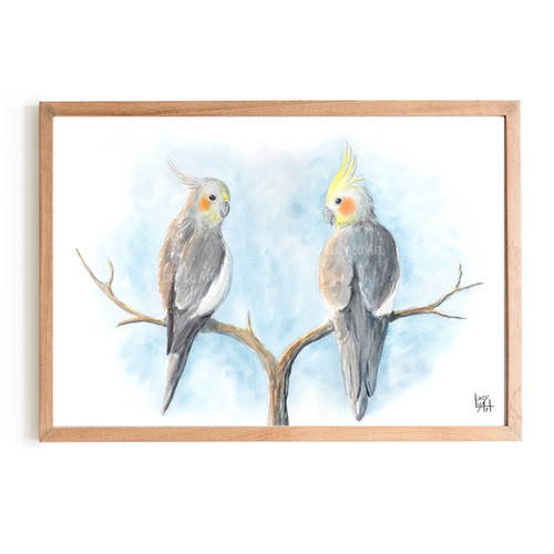 Cockatiels Print | Lucy Lu Art