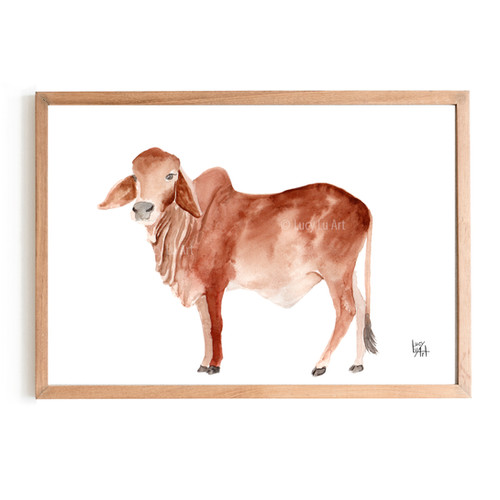 Brahman Cow Print | Lucy Lu Art