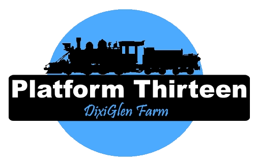 Platform 13 | Models | Australia