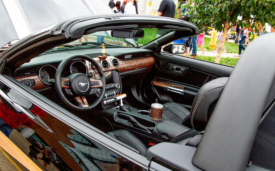 Acden Fleet Show and Shine | Car Show