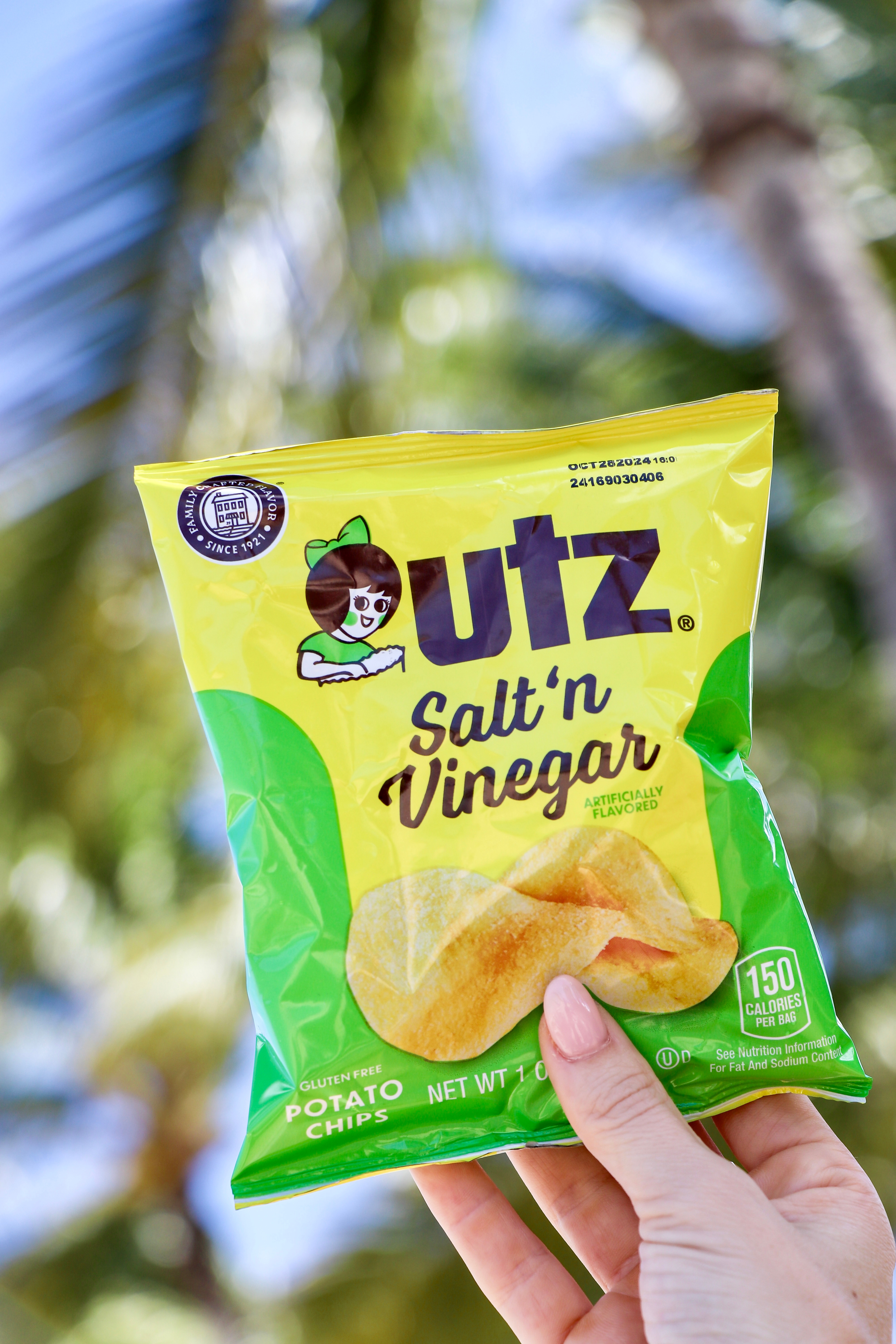 Sandwich Delivery Kailua Nutrition - 407 Uluniu Street | Timmy Ts ...