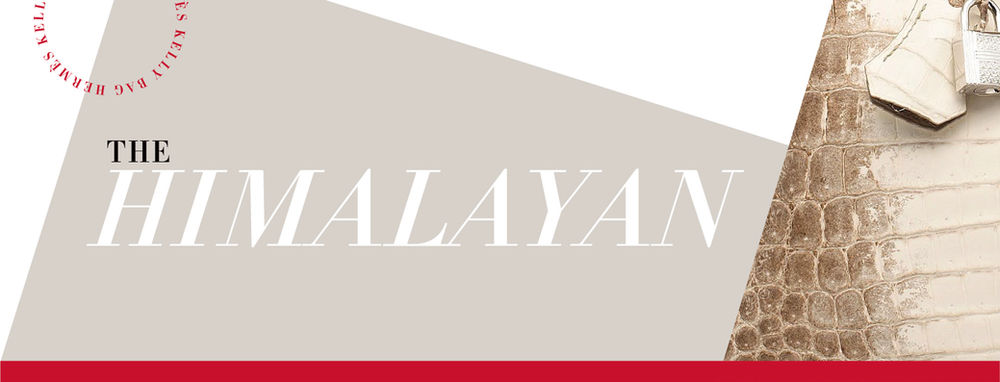 The Rarest Kelly Bags and the Celebs Who Carry Them