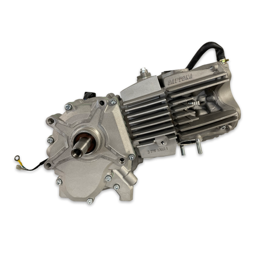Daytona 212cc Dry Sump CVT Engine | Ruffian Snowbikes