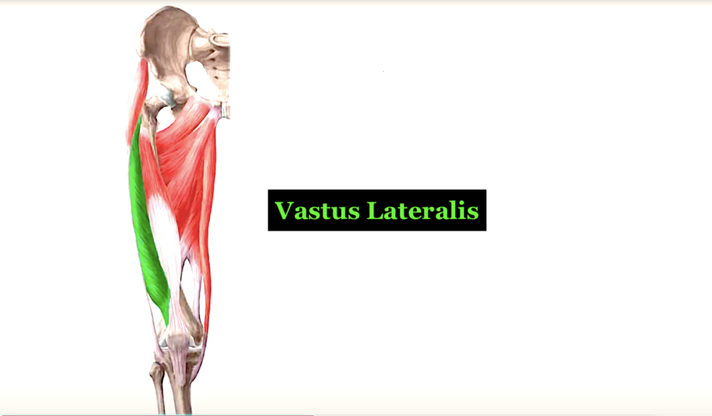 VASTUS LATERALIS