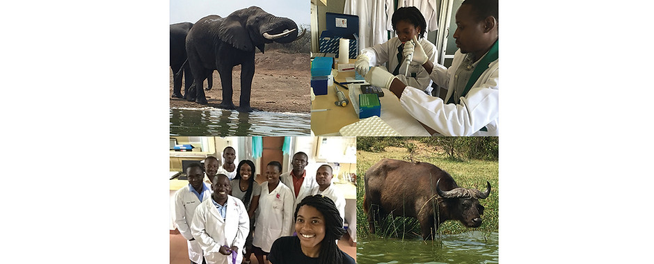 Who We Work With | UVA Guler Malaria Lab