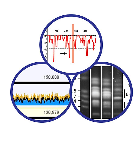 UVA Guler Malaria Lab