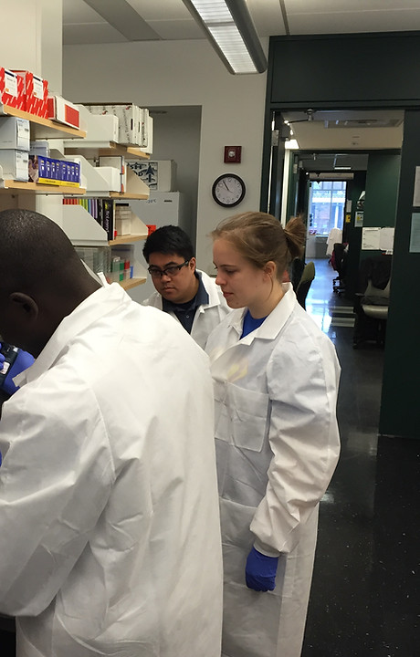 How to Reach Us | UVA Guler Malaria Lab