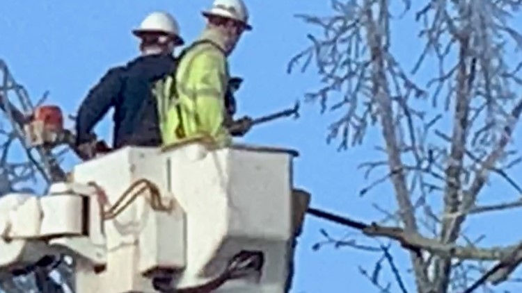 Ibew 125 | Portland Linemen Union Information