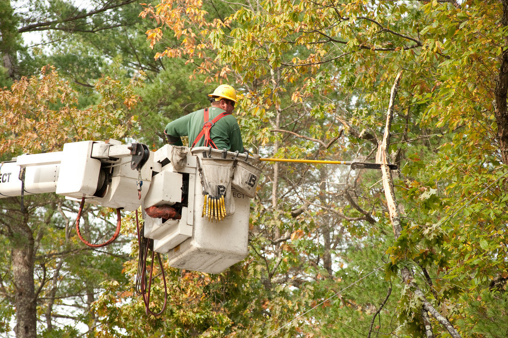 What jobs will prepare you for lineman work