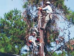 Ibew 949 | Burnsville Linemen Union Information