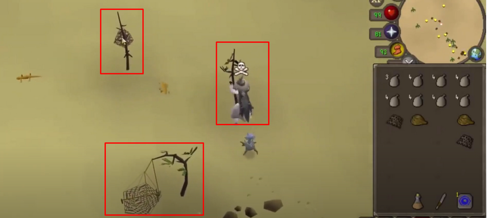 How to catch Orange Salamanders (OSRS Hunter Guide) - 70k xp/hr