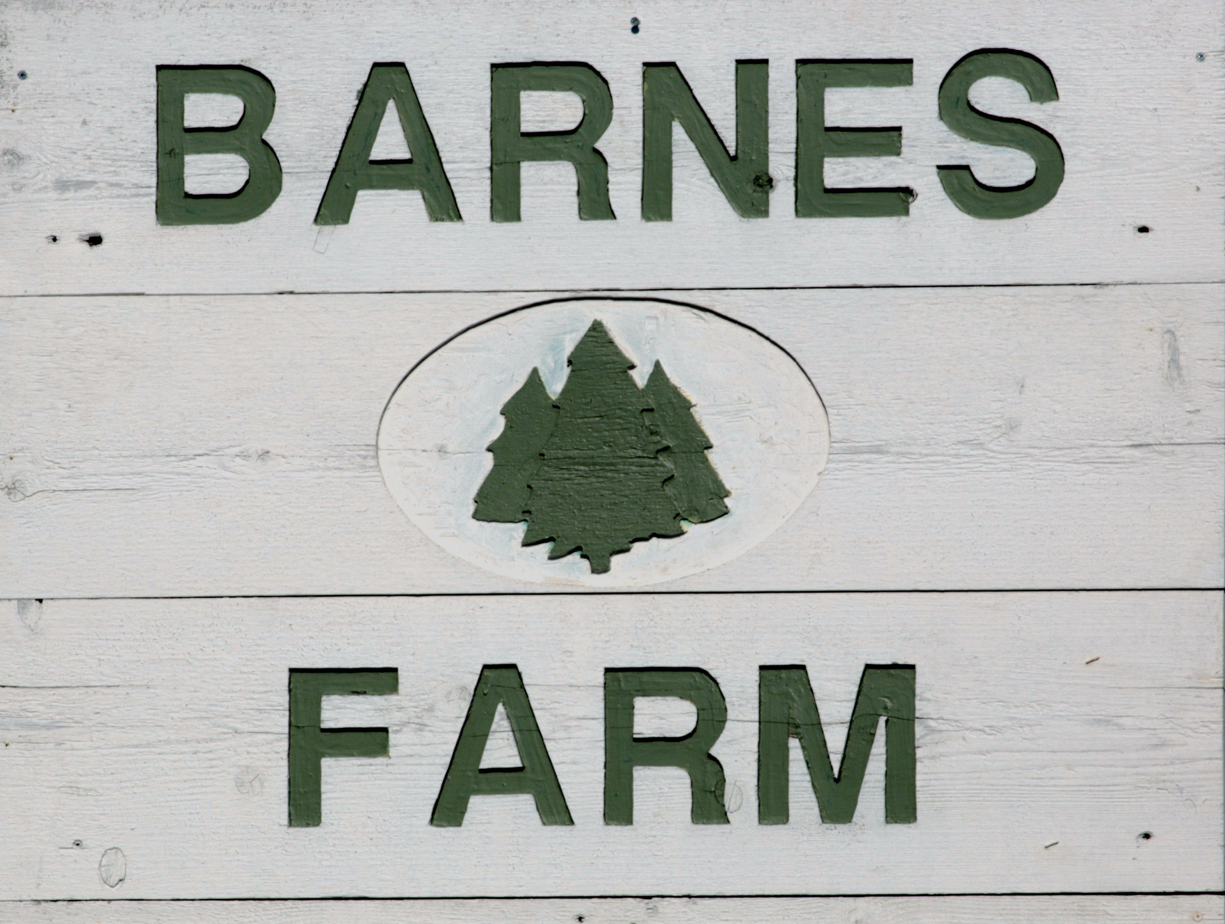 Barnes Tree Farm - Iowa City Christmas Trees