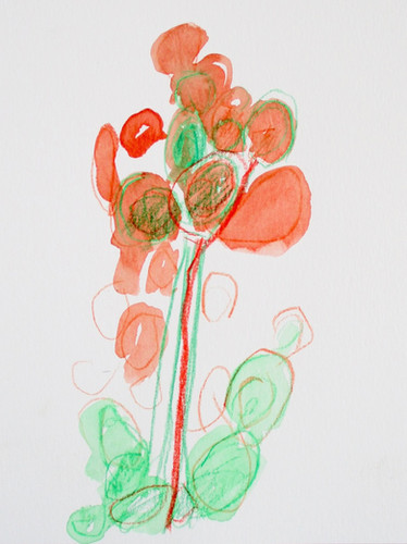 Cali Poppy | Cedars