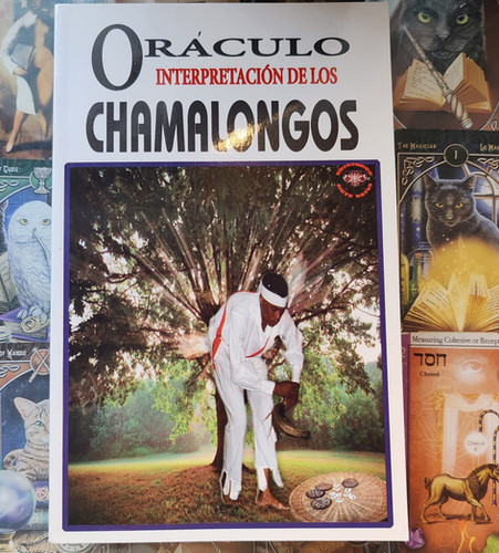 ORACULO interpretación de los CHAMALONGOS | bazar velas y cosas