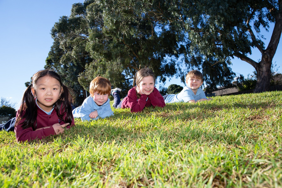 Home | Reservoir Views Primary School