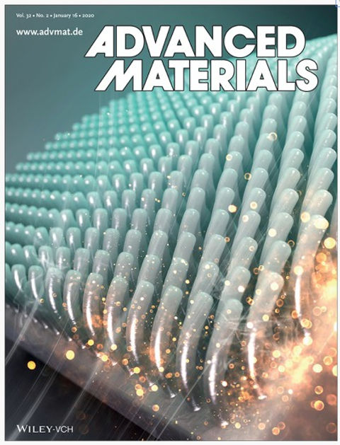 [2020, Selected as a Front Cover in Advanced Materials]