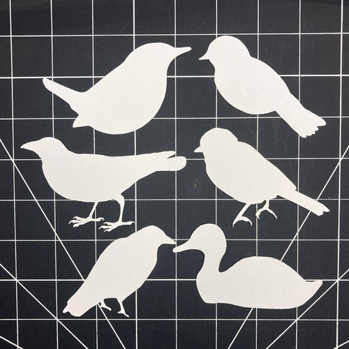 Bird Tracing Templates Set of 6 | Jo Morphett