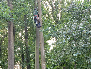 HOME | A&J Tree Service