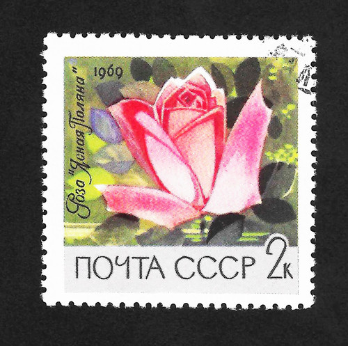 1969 2k NOYTA CCCP Russian Flower Stamp | AAAlvinsSportsCards