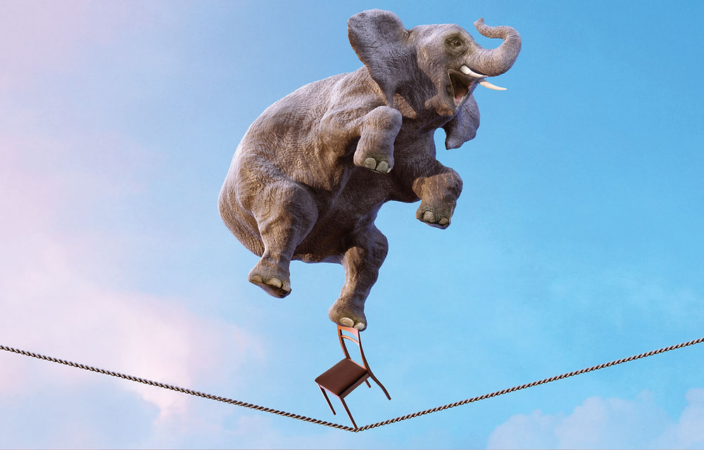 How to walk a tricky risk tightrope