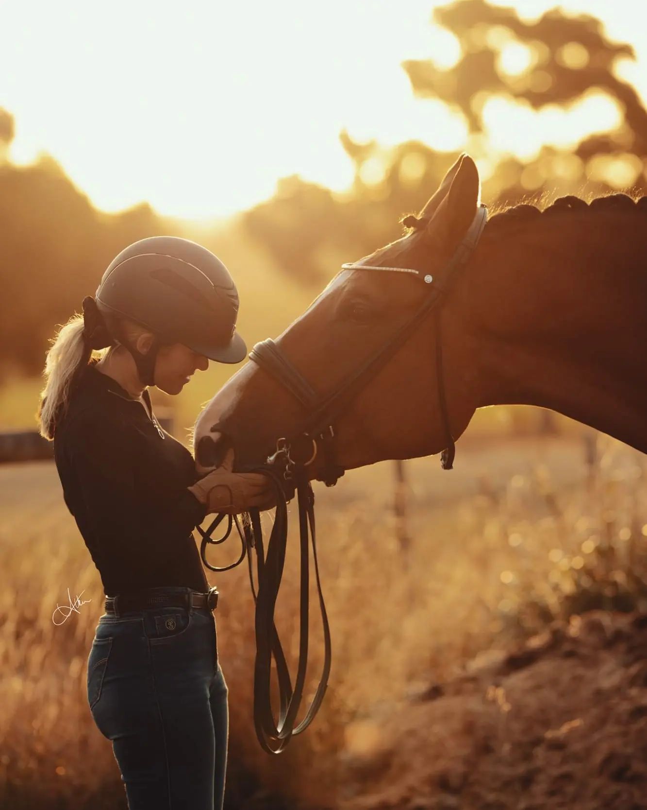 Jessica Atkins Luxury Equine Studio