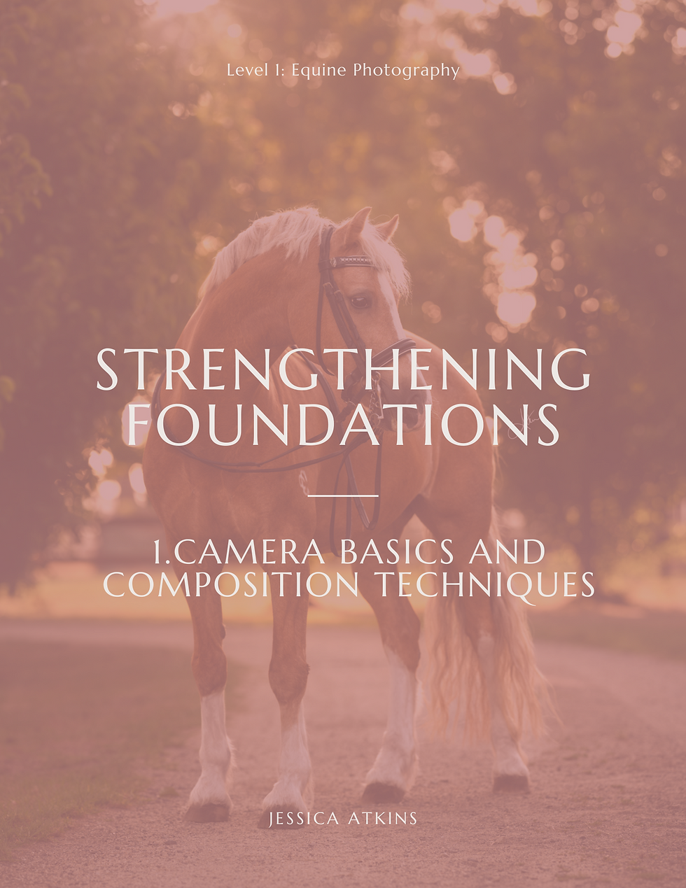 Jessica Atkins Luxury Equine Studio