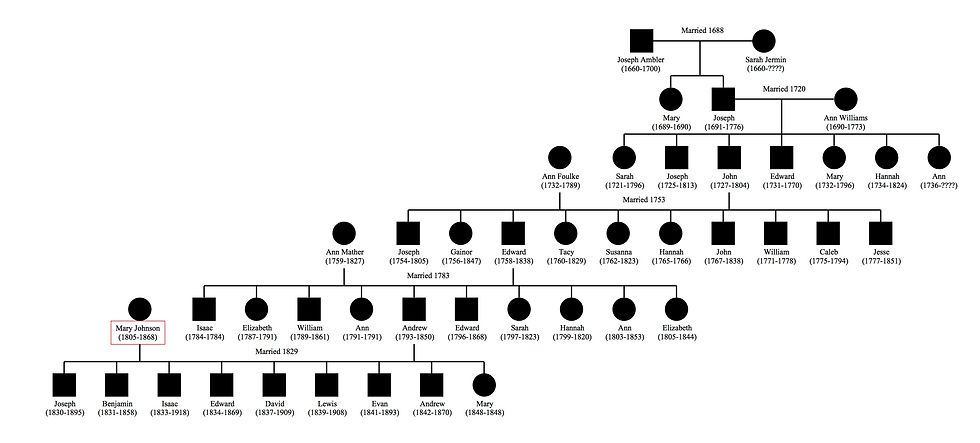 Mary Ambler and Her Family History