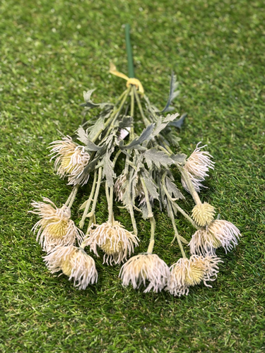 Thistle Spray White | Thistle And Fearne